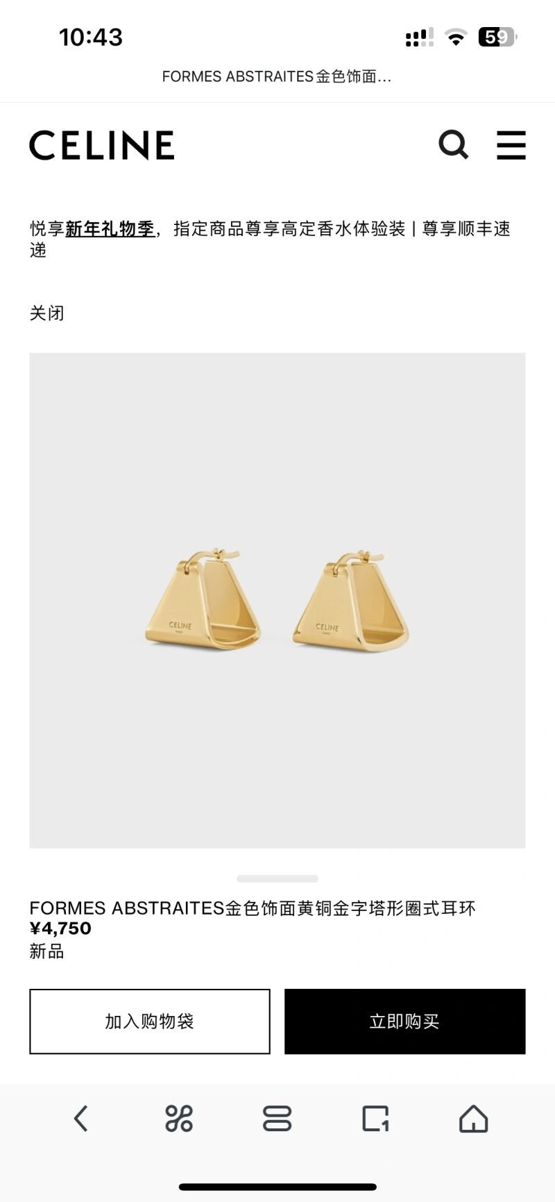 Celine Earrings