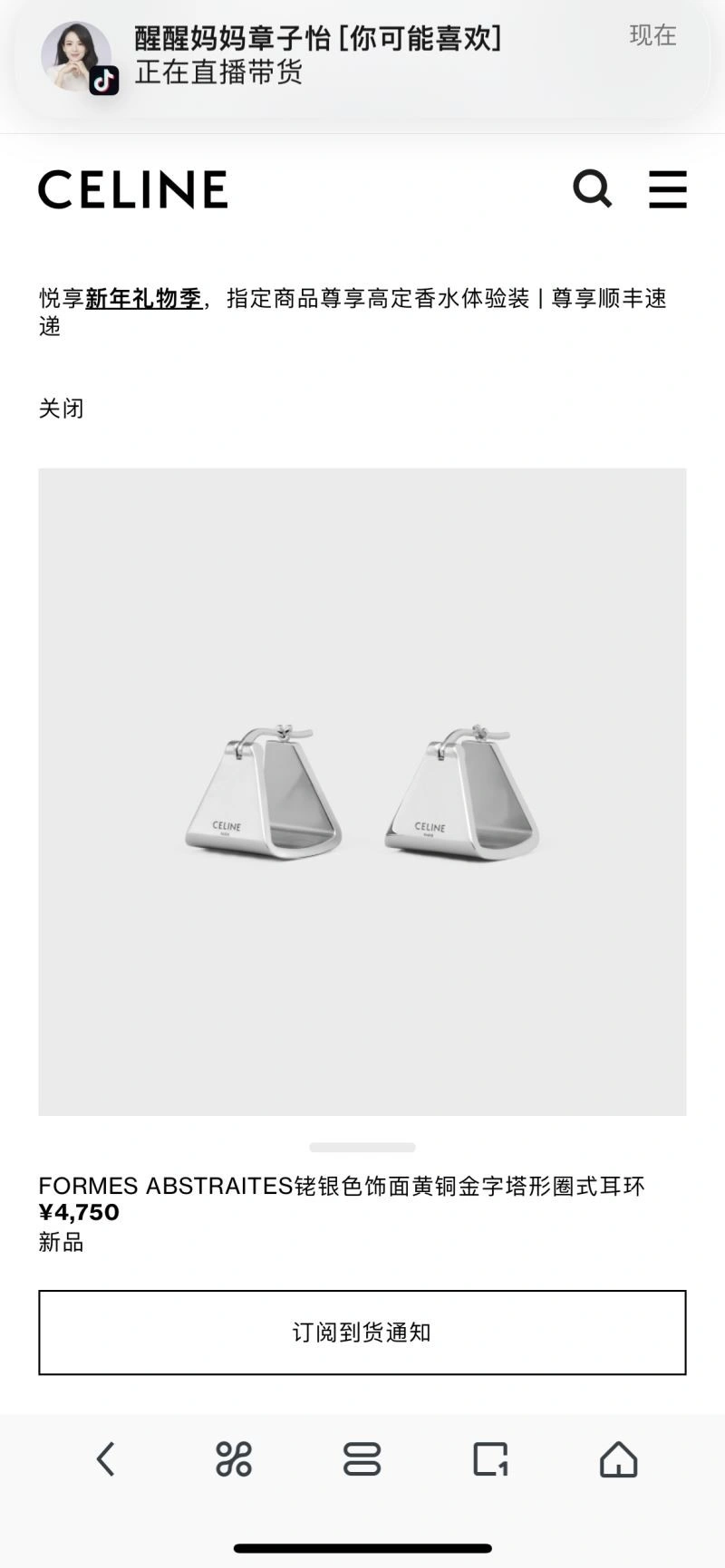 Cut-rate Celine Earrings