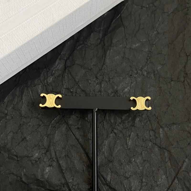 Indistinguishable Celine Earrings