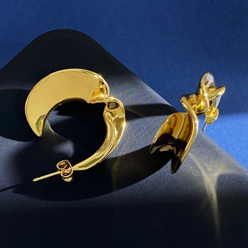 Economical Celine Earrings