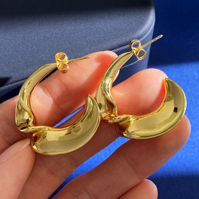 Economical Celine Earrings