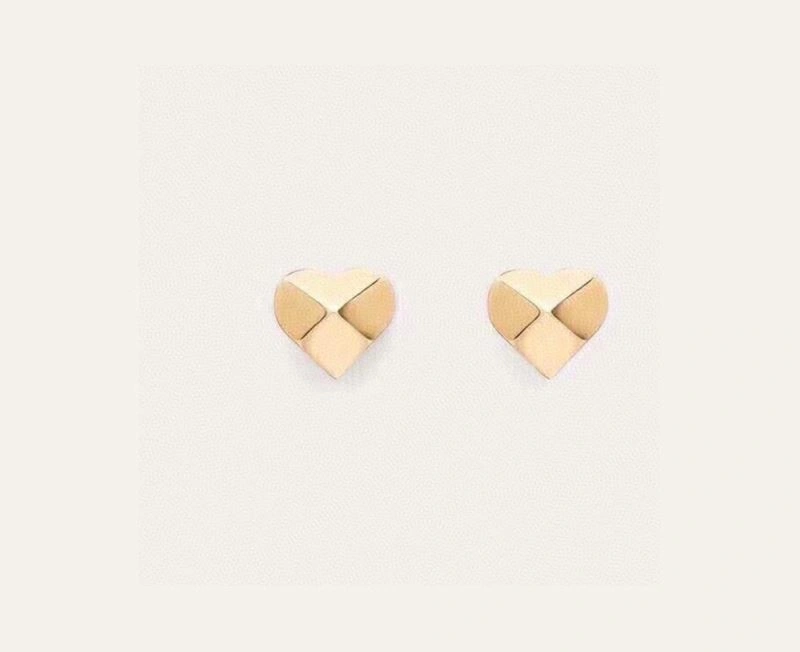 OEM Celine Earrings
