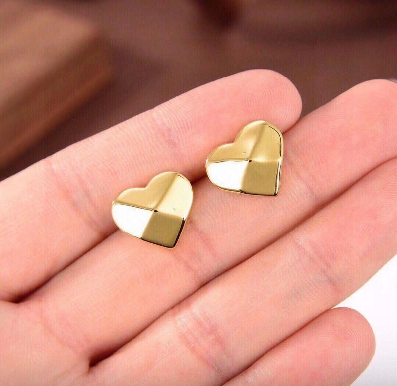 OEM Celine Earrings