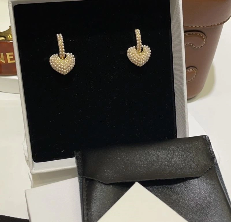 Top mirror Celine Earrings