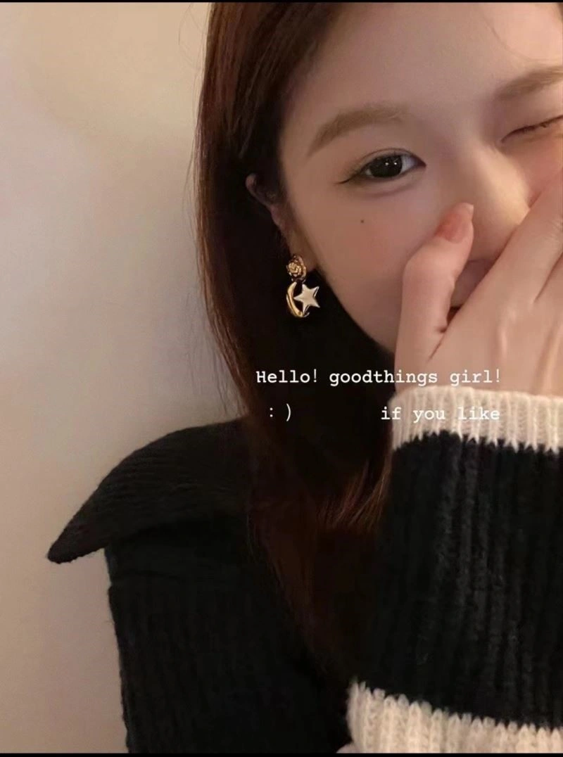 Exact replica Celine Earrings