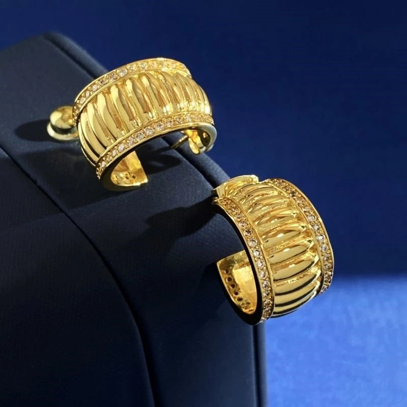 Value-priced Celine Earrings