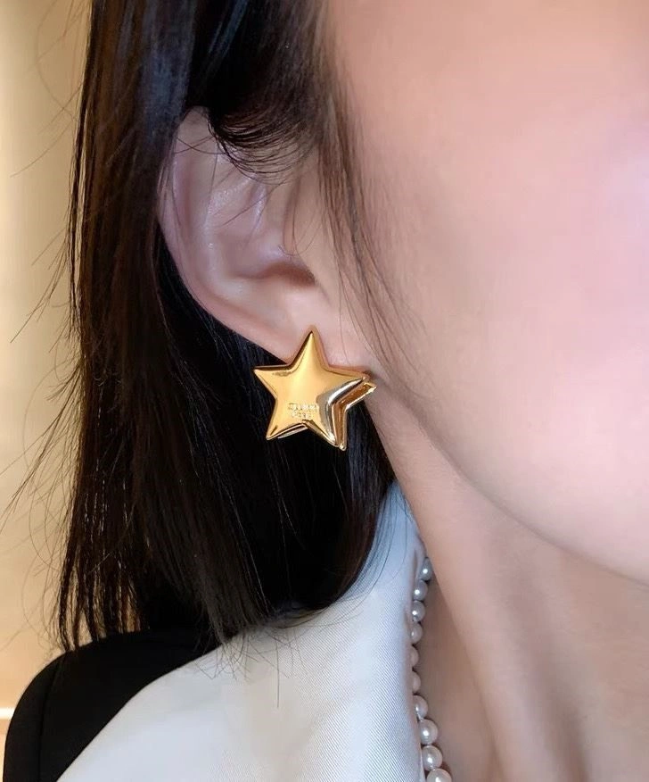 High accuracy Celine Earrings