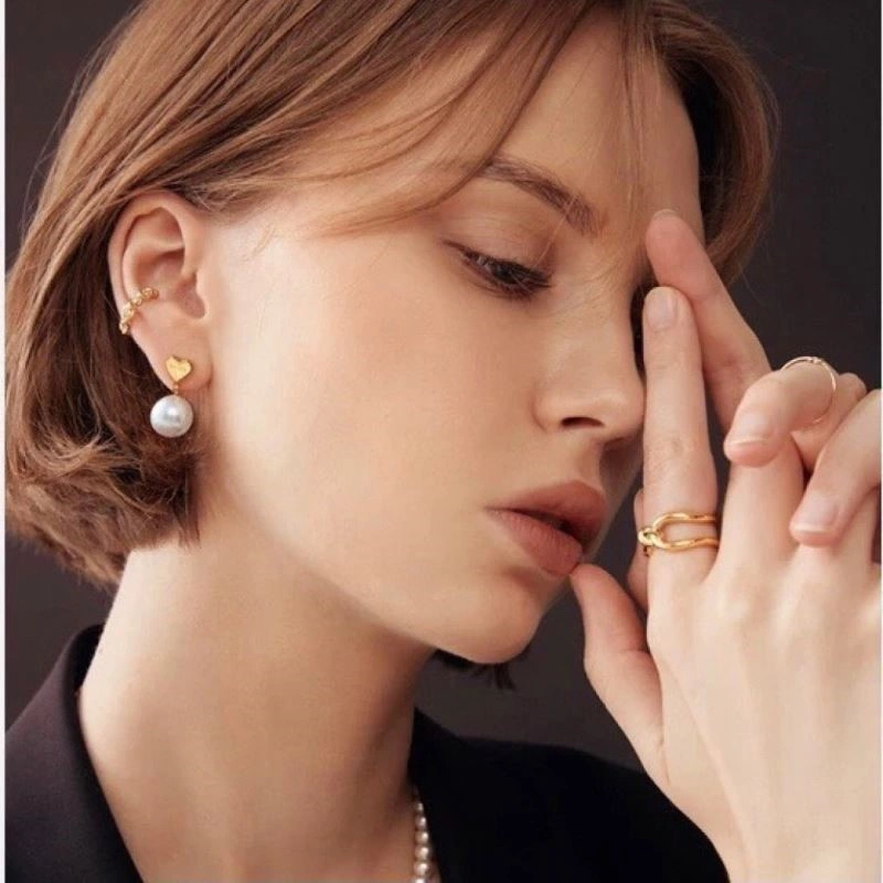 Top match Celine Earrings