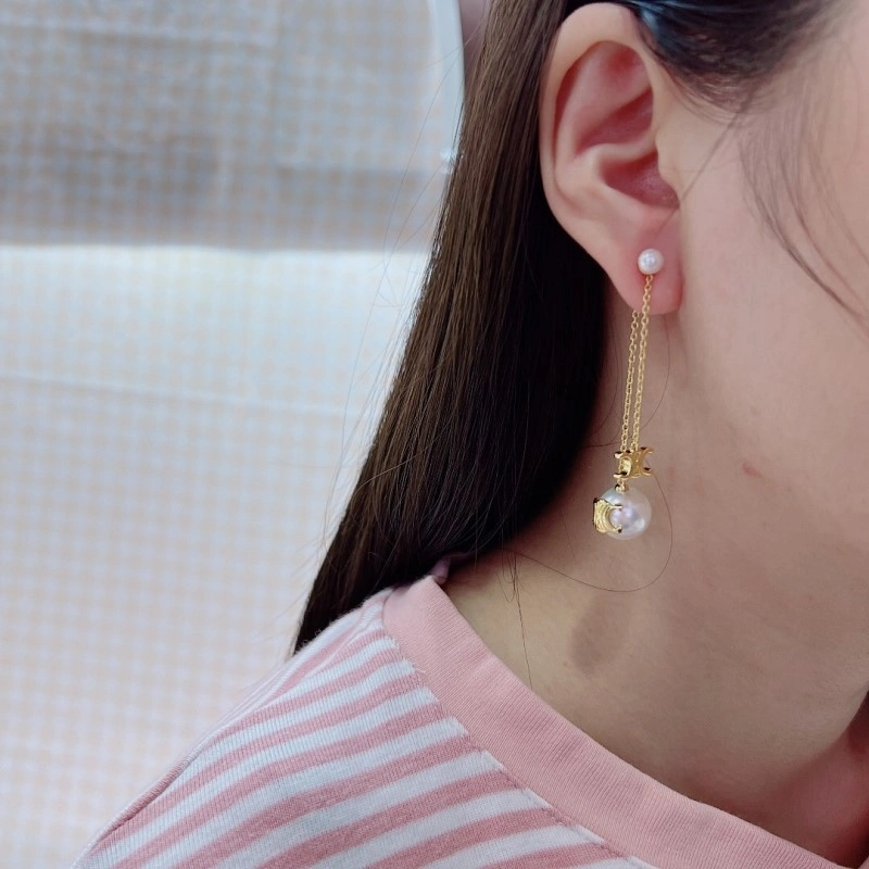 Value-priced Celine Earrings