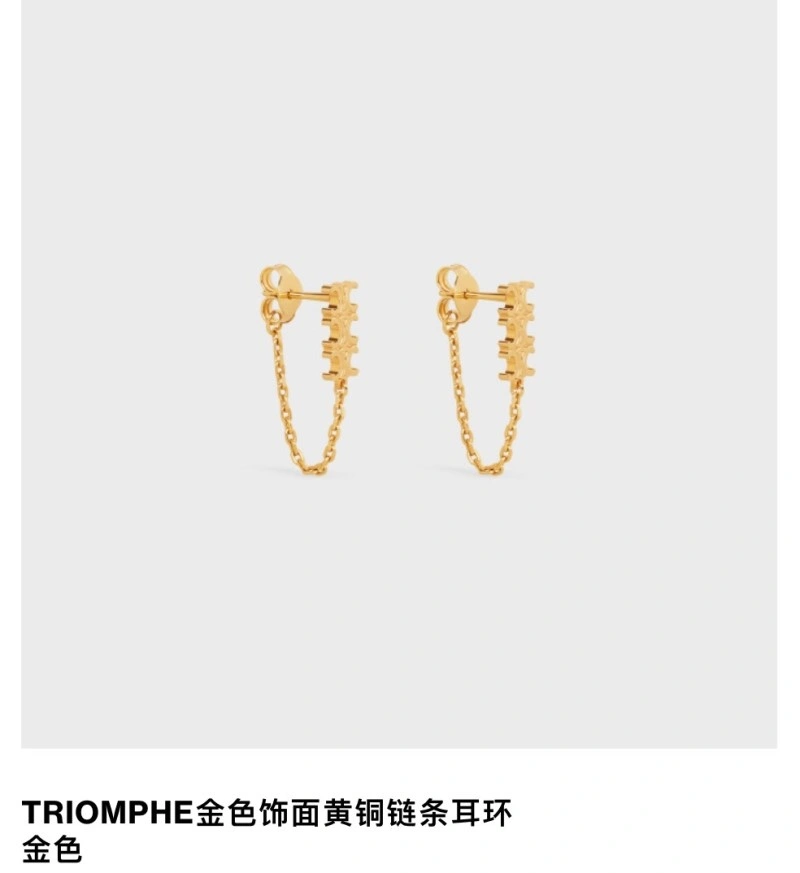 Reasonably priced Celine Earrings