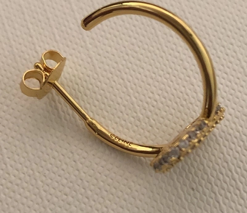 High accuracy Celine Earrings
