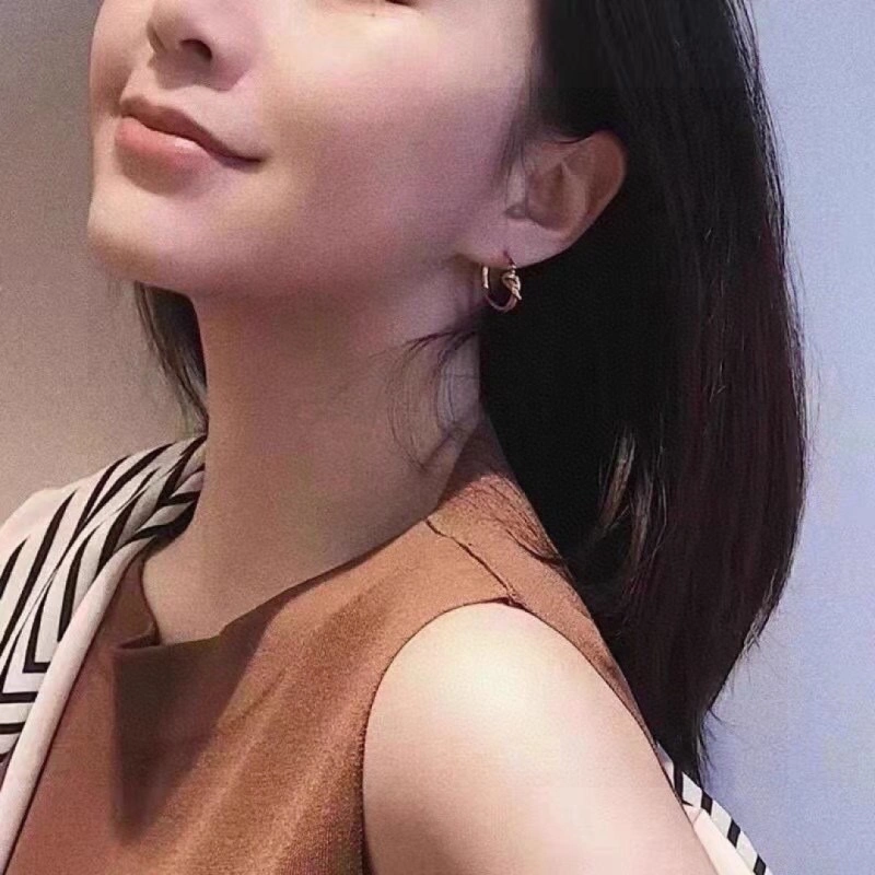 Value-priced Celine Earrings