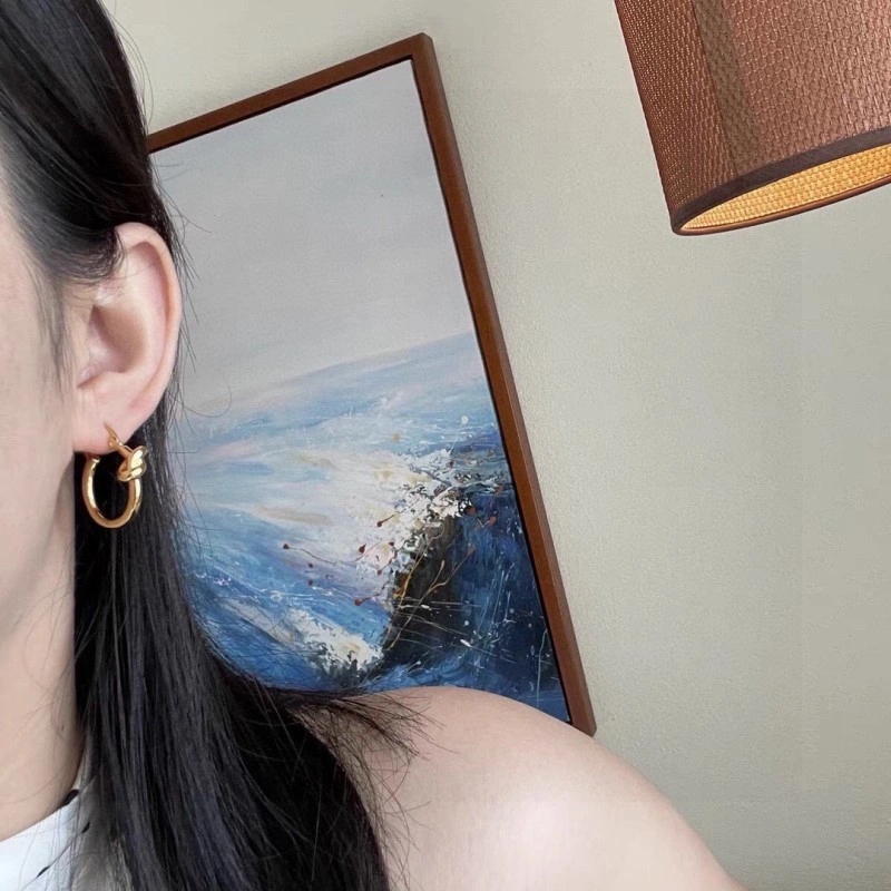 Value-priced Celine Earrings