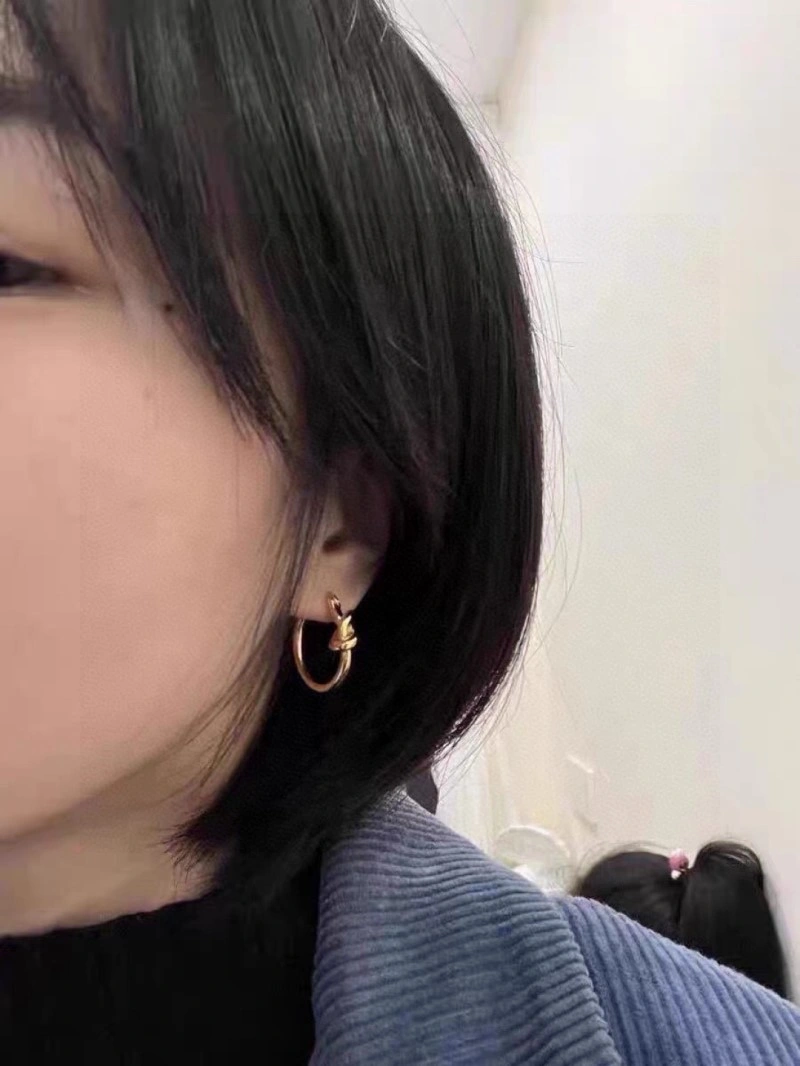 Value-priced Celine Earrings