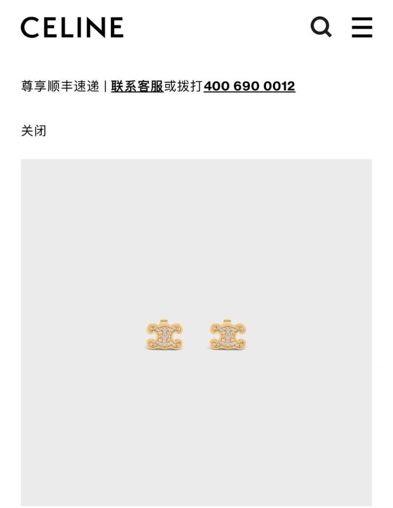 OEM Celine Earrings