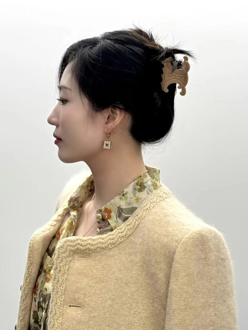 Official Celine Earrings