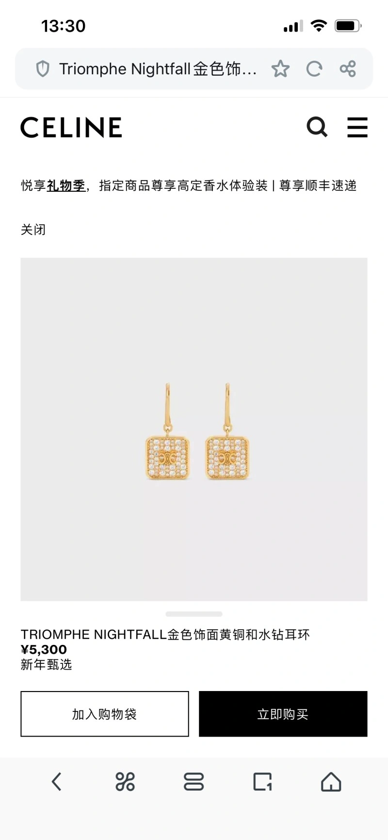 Official Celine Earrings