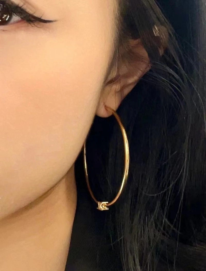 High accuracy Celine Earrings