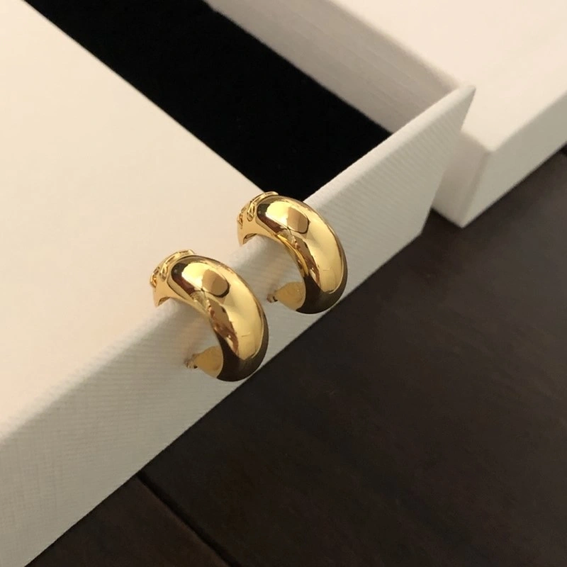 Economical Celine Earrings
