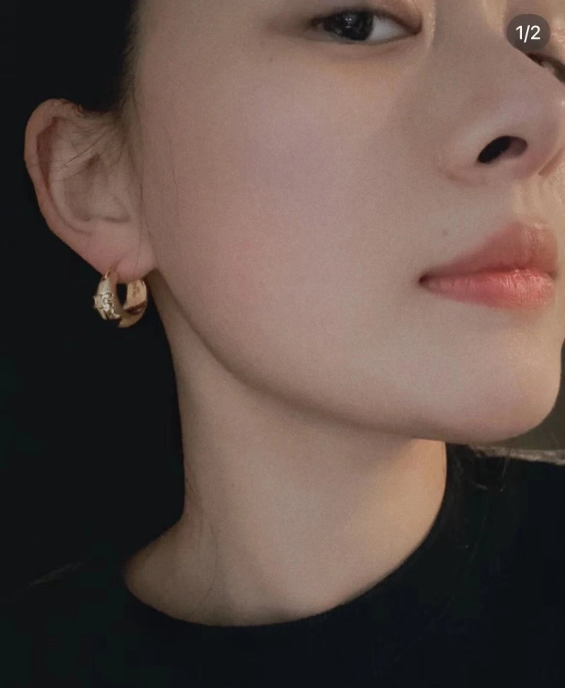Economical Celine Earrings