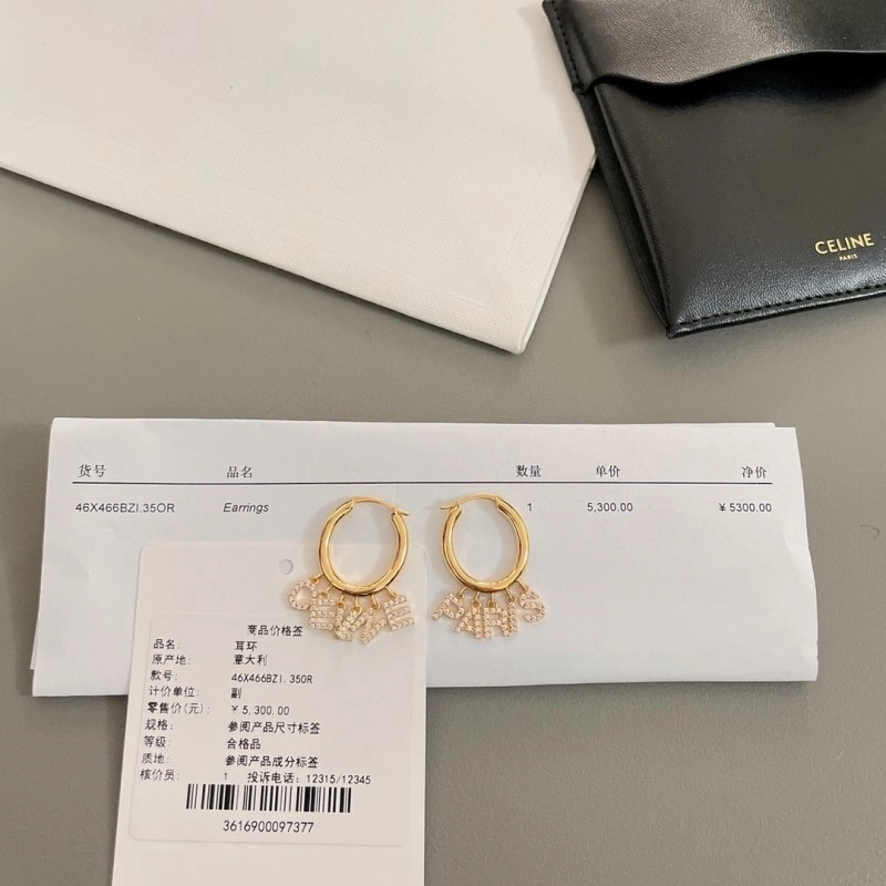 Reasonably priced Celine Earrings