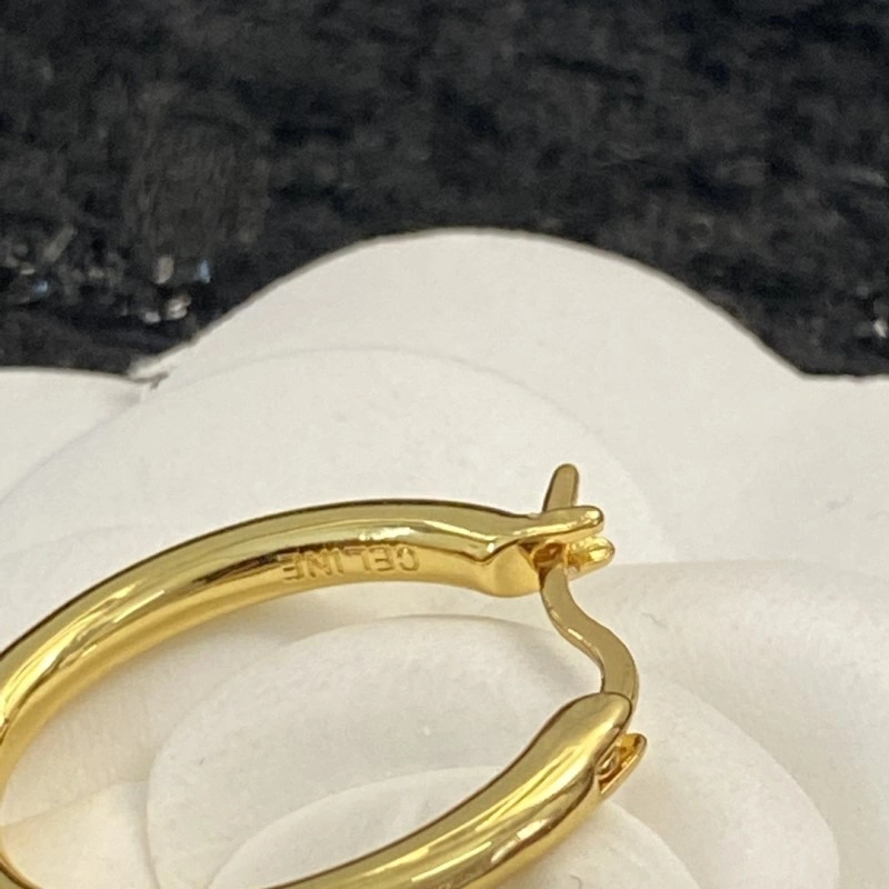 Inexpensive Celine Earrings