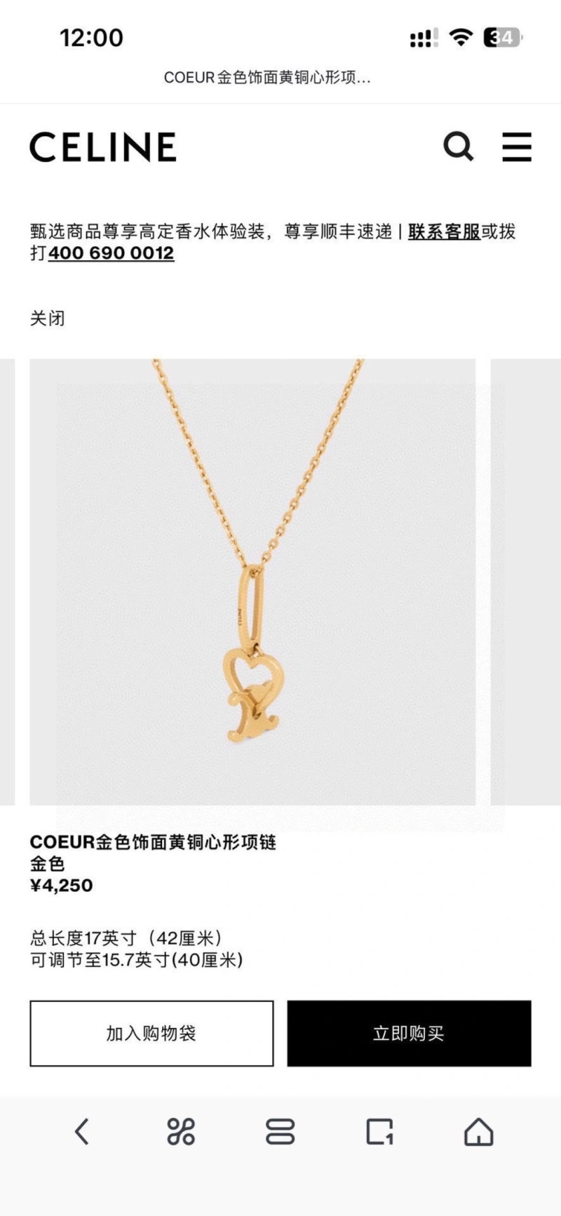 Budget-friendly Celine Earrings