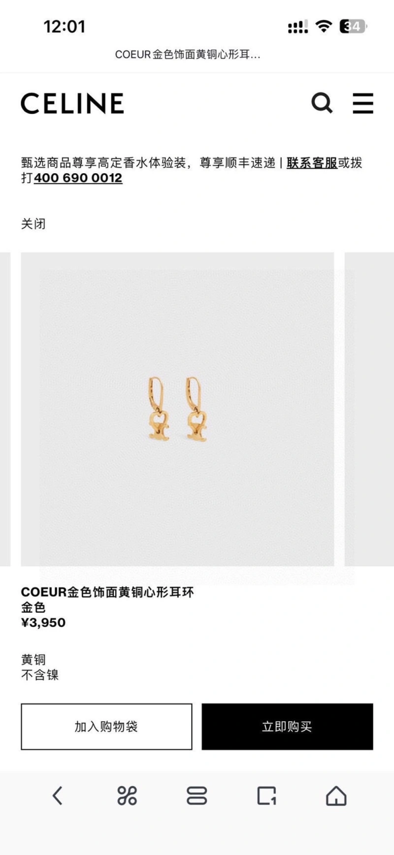 Budget-friendly Celine Earrings