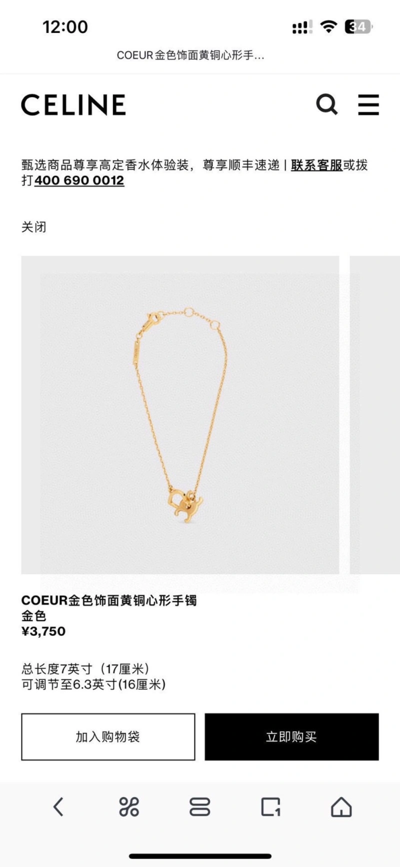 Budget-friendly Celine Earrings