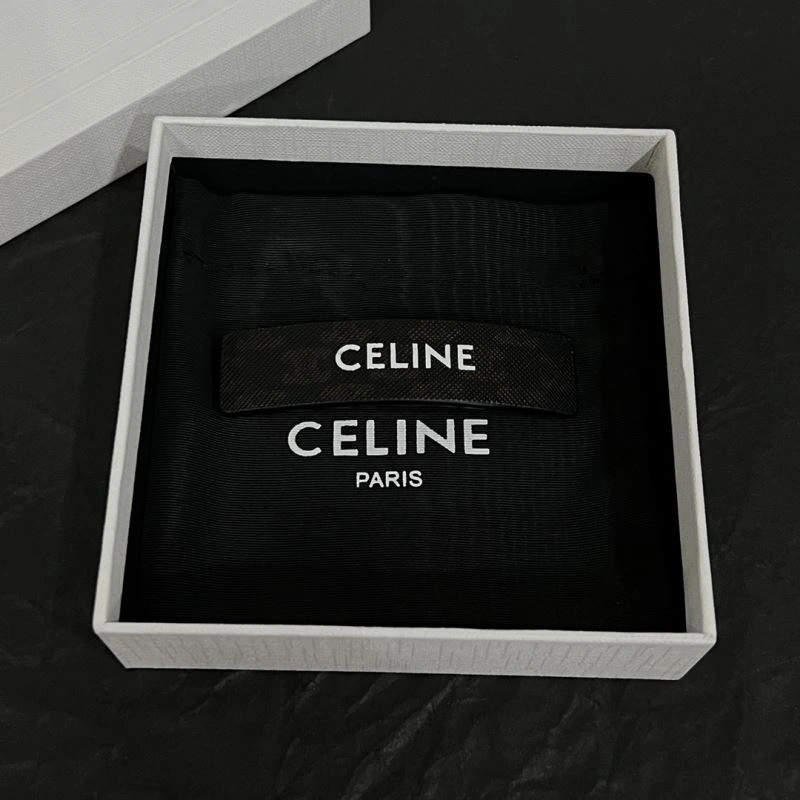 High fidelity Celine Hairpins
