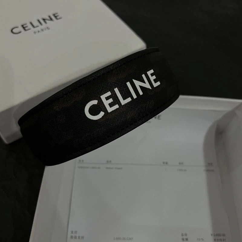 Low-cost Celine Hairpins
