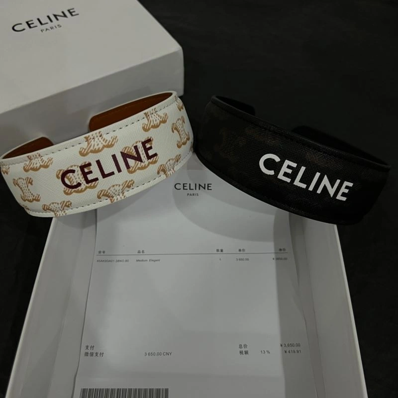 Economical Celine Hairpins