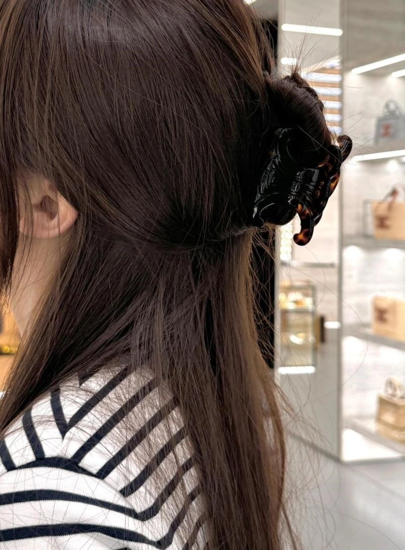 Inexpensive Celine Hairpins