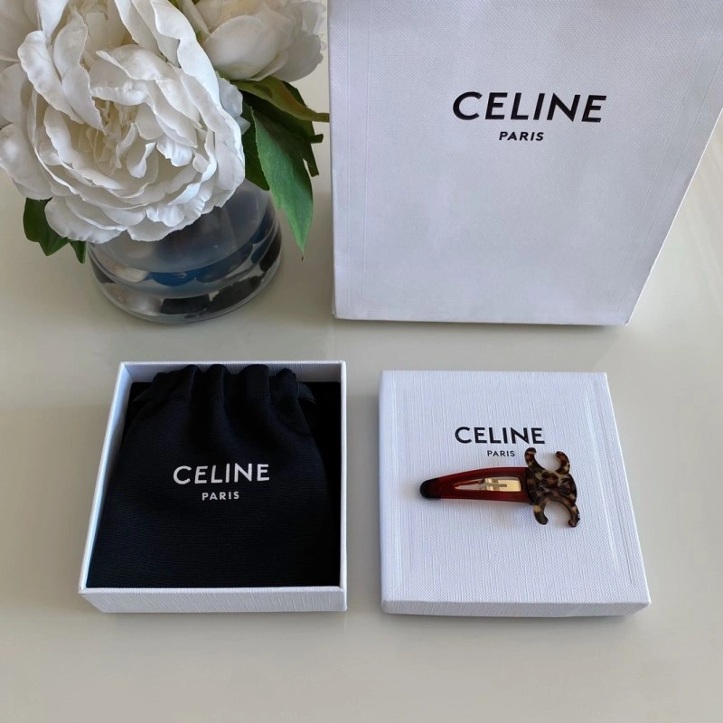 Indistinguishable Celine Hairpins