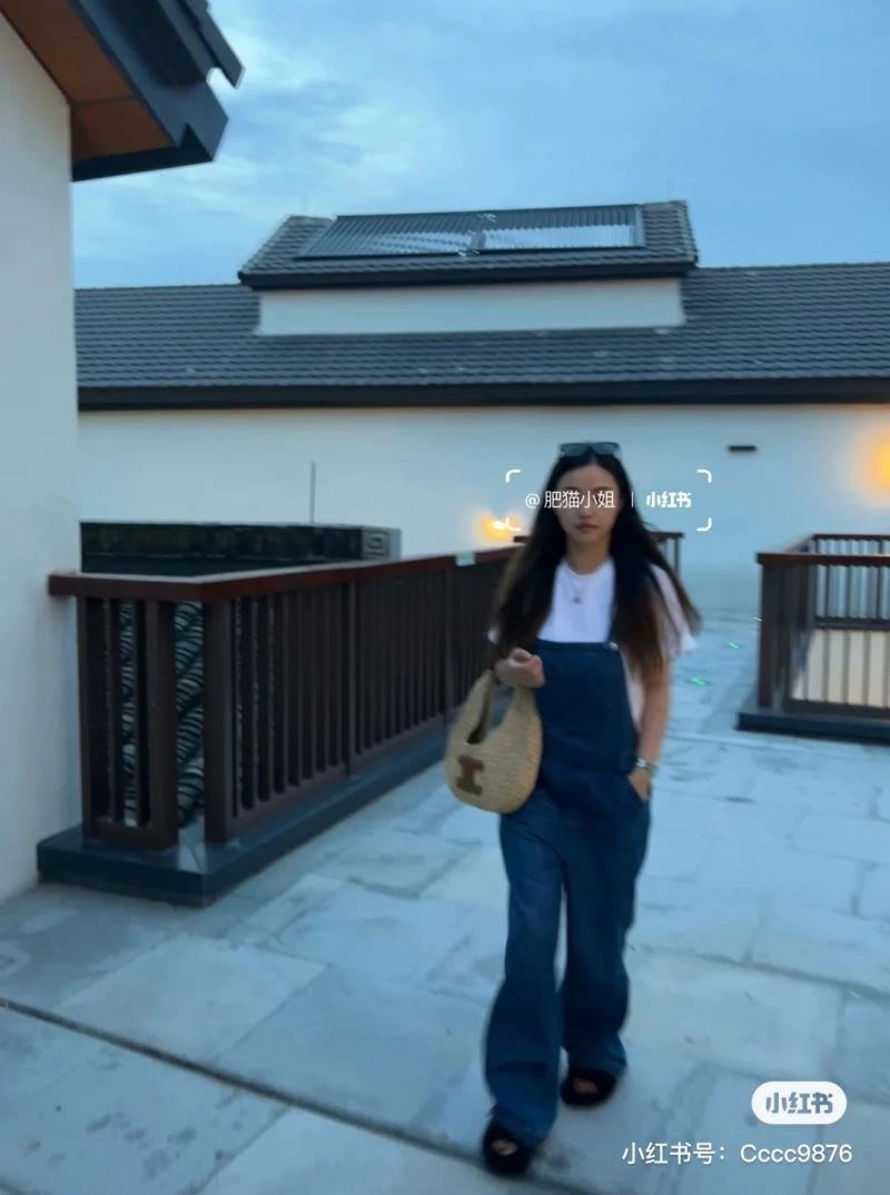 Factory-made Celine Hobo Bags