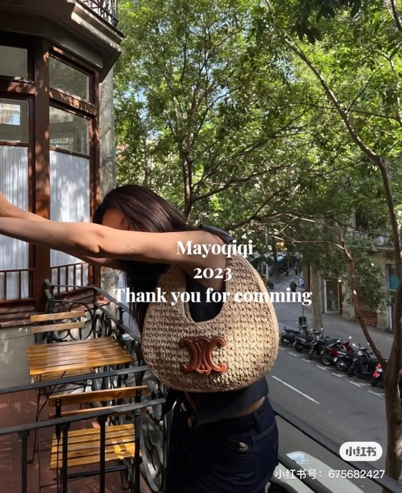 Factory-made Celine Hobo Bags