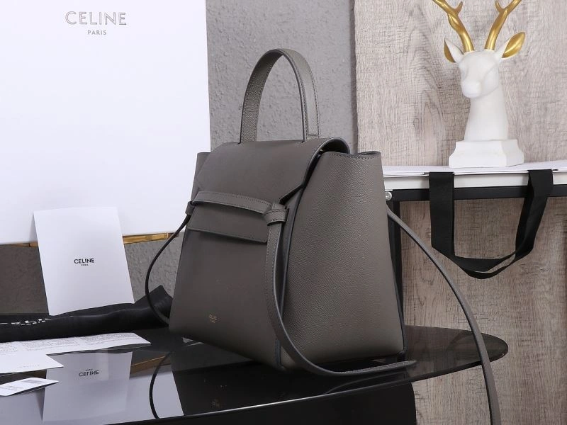 Indistinguishable Celine Nano Bags