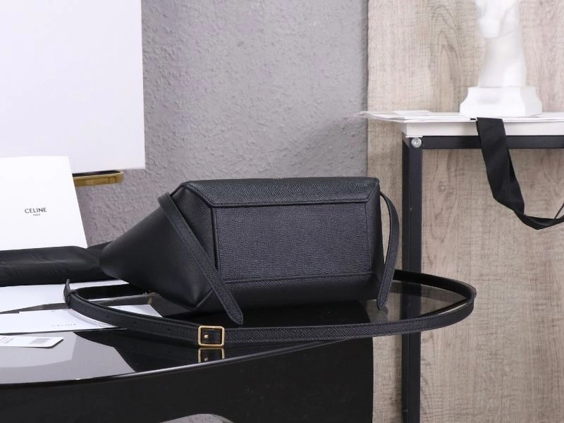 Accurate model Celine Nano Bags