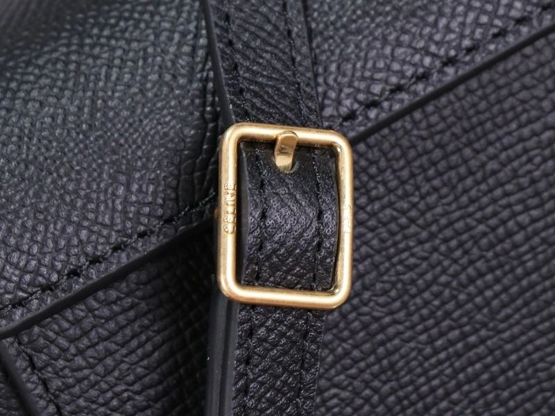 Accurate model Celine Nano Bags