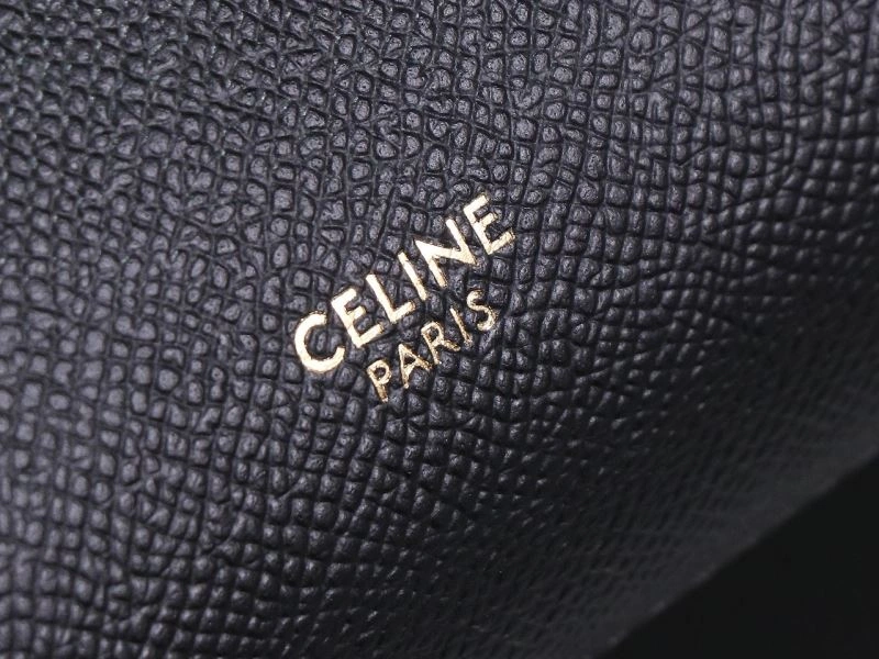 Accurate model Celine Nano Bags