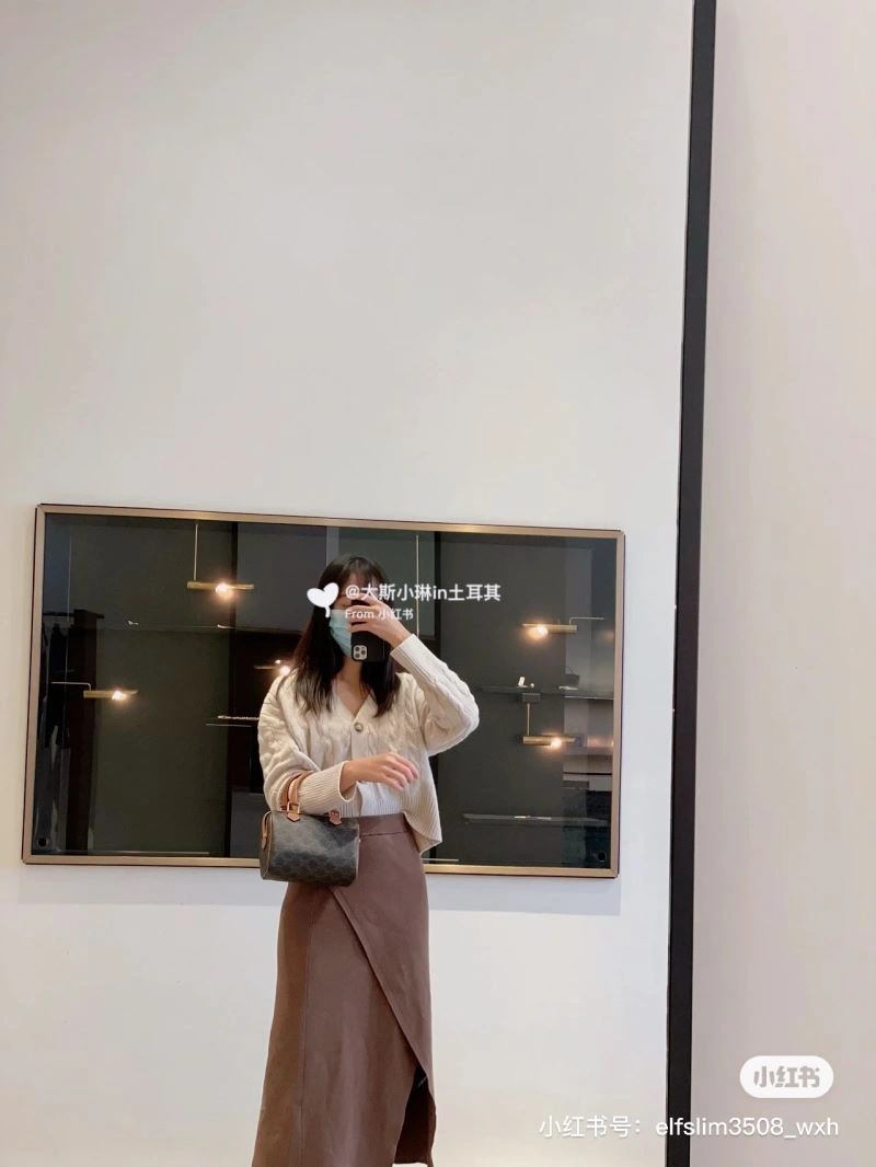 Top mirror Celine Pillow Bags