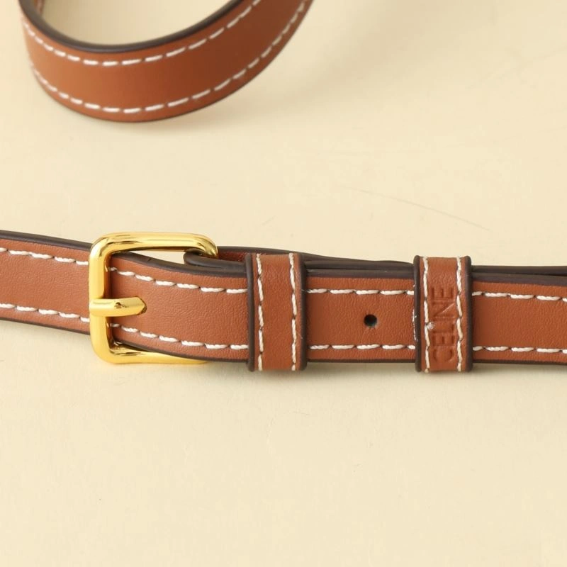 Top match Celine Satchel Bags