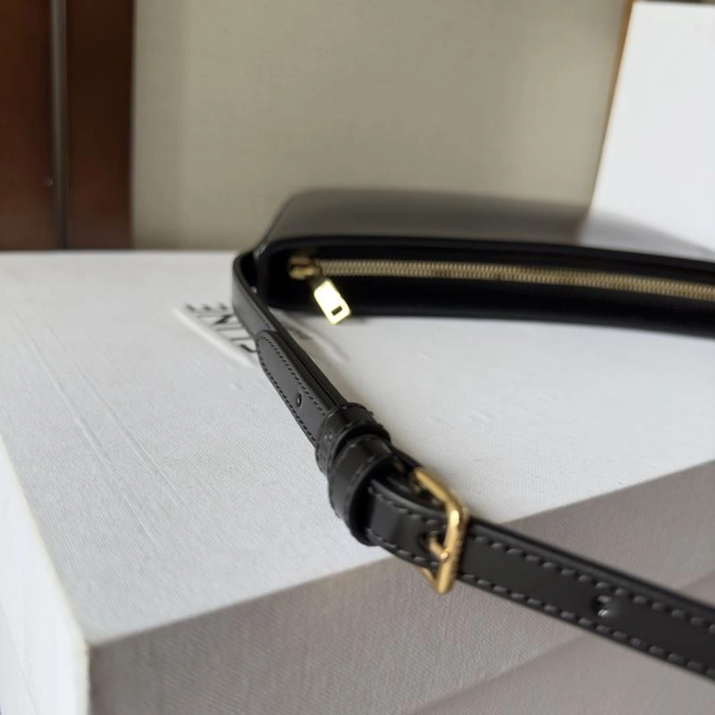 High accuracy Celine Satchel Bags
