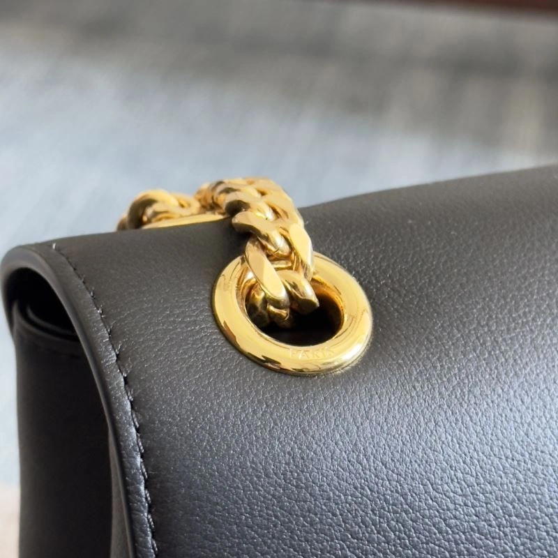 Official Celine Satchel Bags