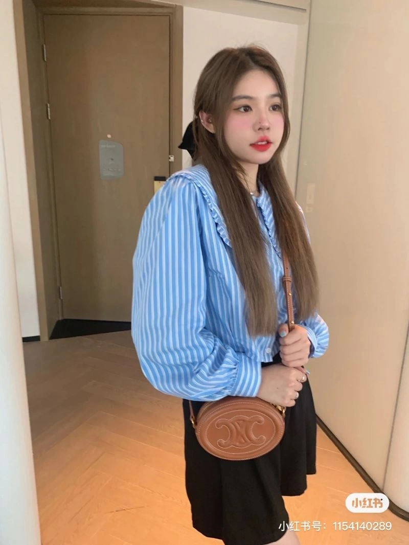 Mirror quality Celine Satchel Bags