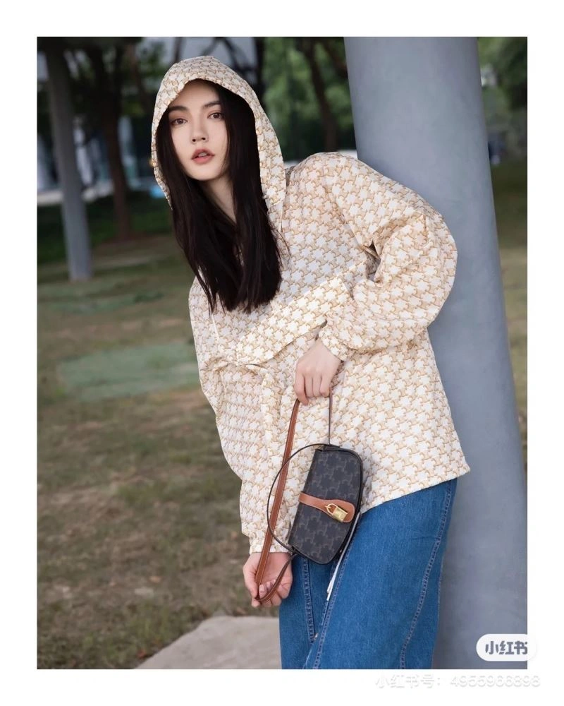 Inexpensive Celine Satchel Bags