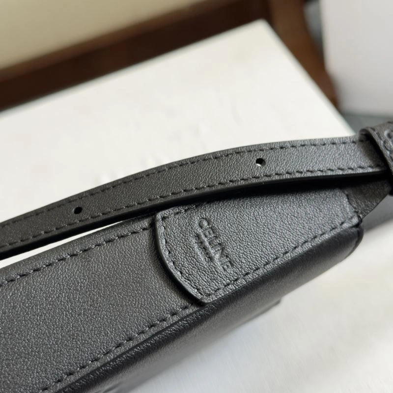 Reasonably priced Celine Satchel Bags
