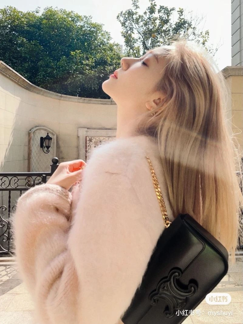 Discounted Celine Satchel Bags