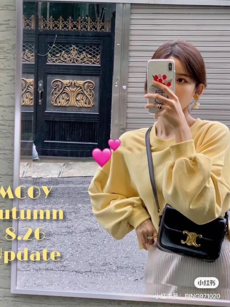 Indistinguishable Celine Satchel Bags