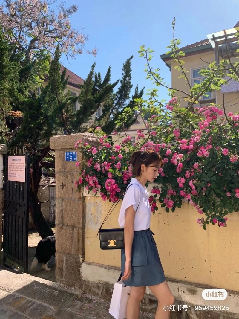 Indistinguishable Celine Satchel Bags